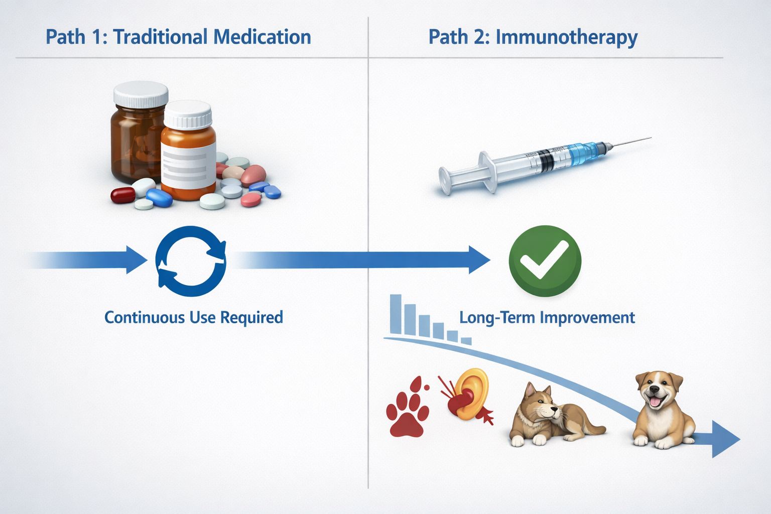 Allergy Shots for Dogs: Complete Immunotherapy Treatment Guide ...